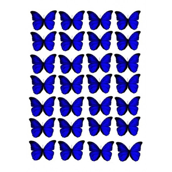 Valgomas paveiksliukas ,,Mėlyni drugeliai''